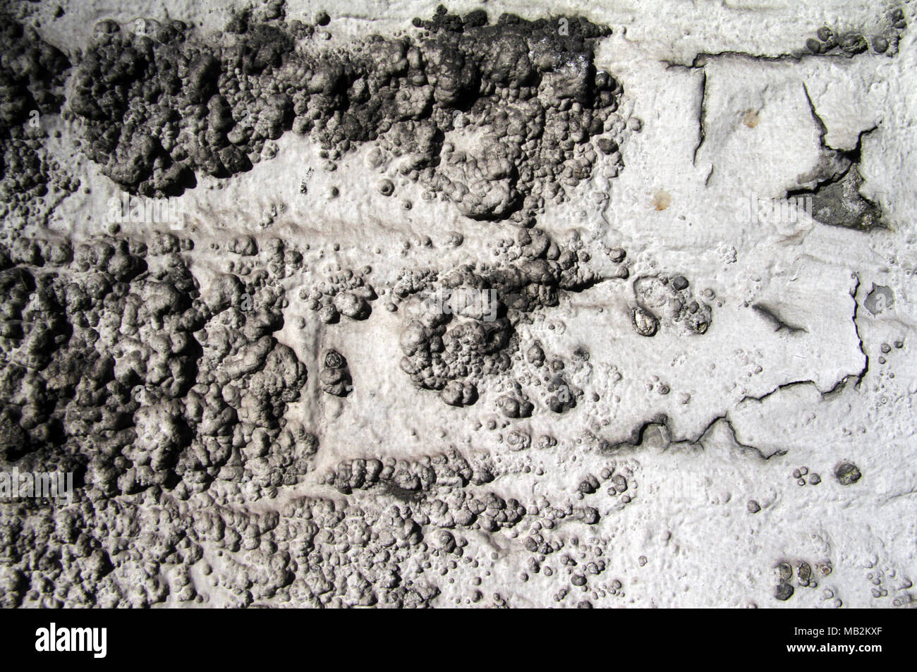 Blistering paint hi-res stock photography and images - Alamy