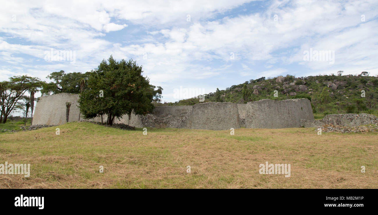 Tree by the Great Enclosure at Great Zimbabwe near Masvingo in Zimbabwe ...
