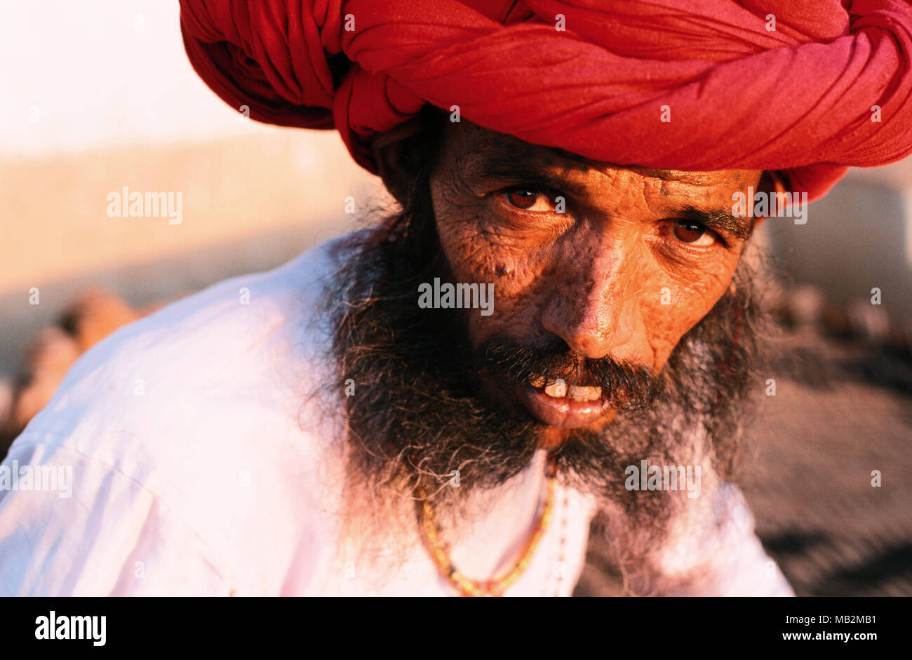 Rabari herdsman hi-res stock photography and images - Alamy