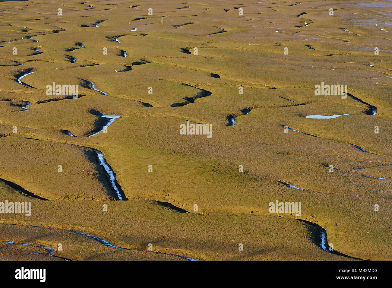 Odiel river hi-res stock photography and images - Alamy