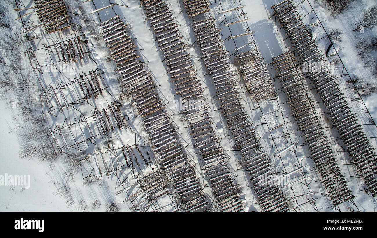 Fish racks in the village of A in Lofoten, Norway Stock Photo - Alamy