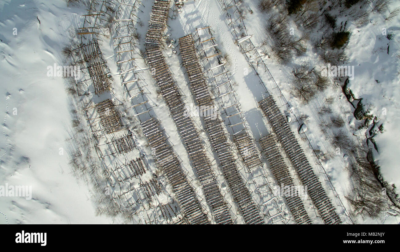 Fish racks in the village of A in Lofoten, Norway Stock Photo - Alamy