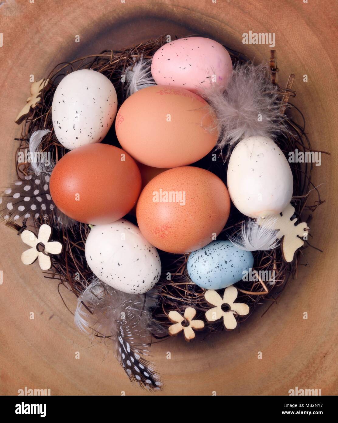 Nest egg concept Stock Photo - Alamy