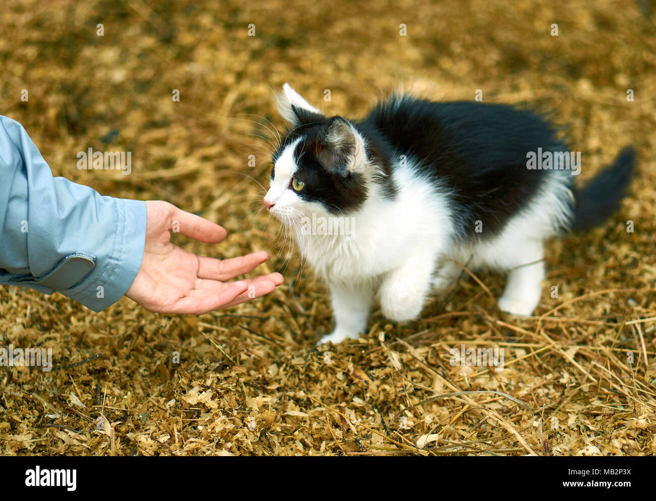 Extend hand friends hi-res stock photography and images - Alamy
