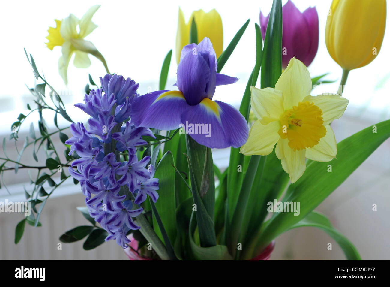 Spring Flowers Bouquet Stock Photo - Alamy