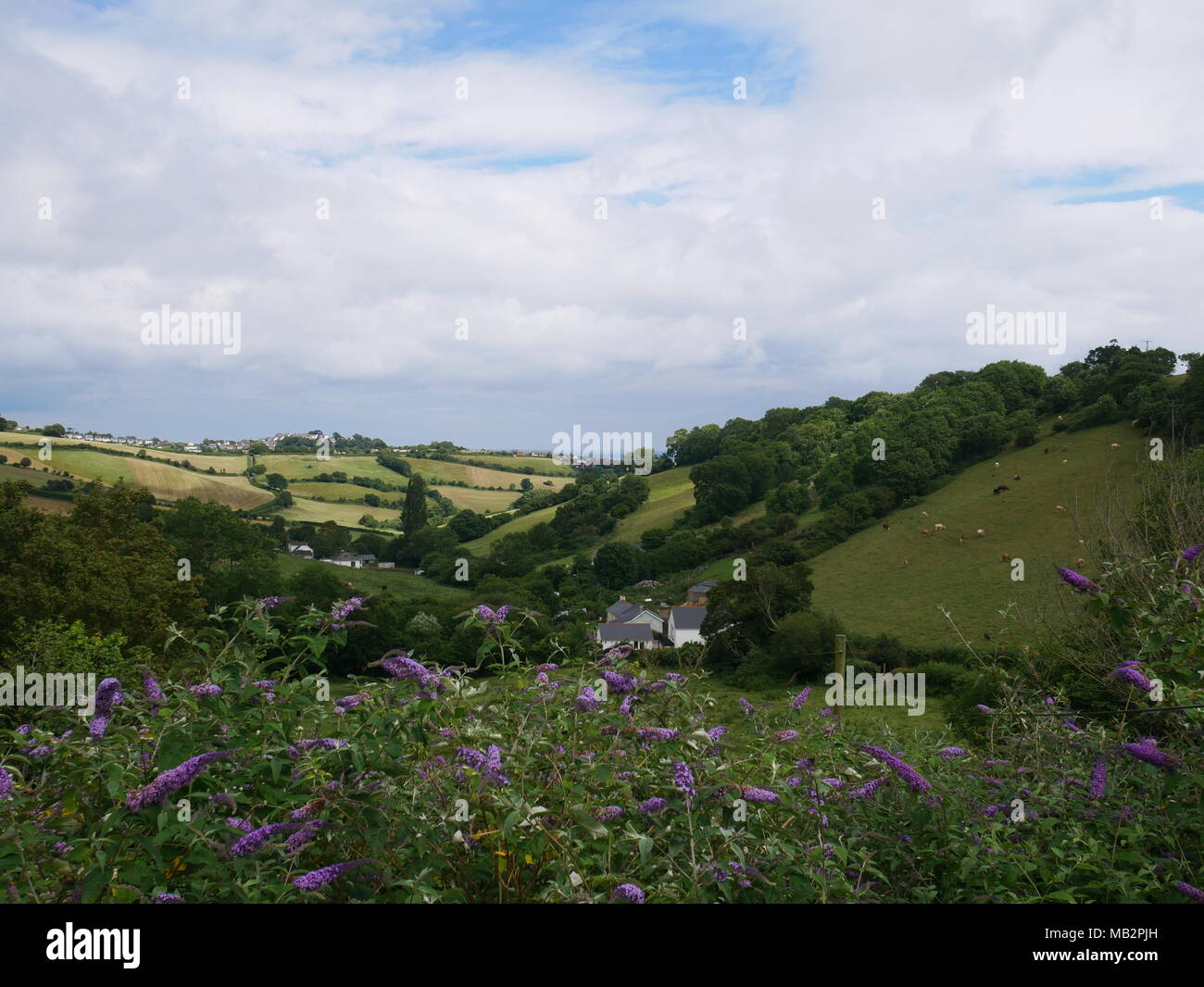 A Spring landscape in Devon, UK Stock Photo - Alamy