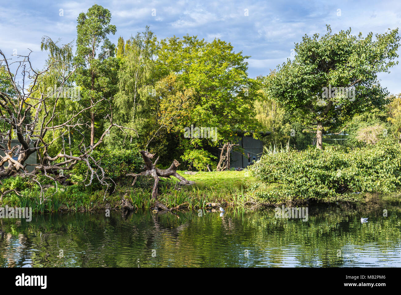 Day Out At Dublin Zoo Stock Photo - Alamy