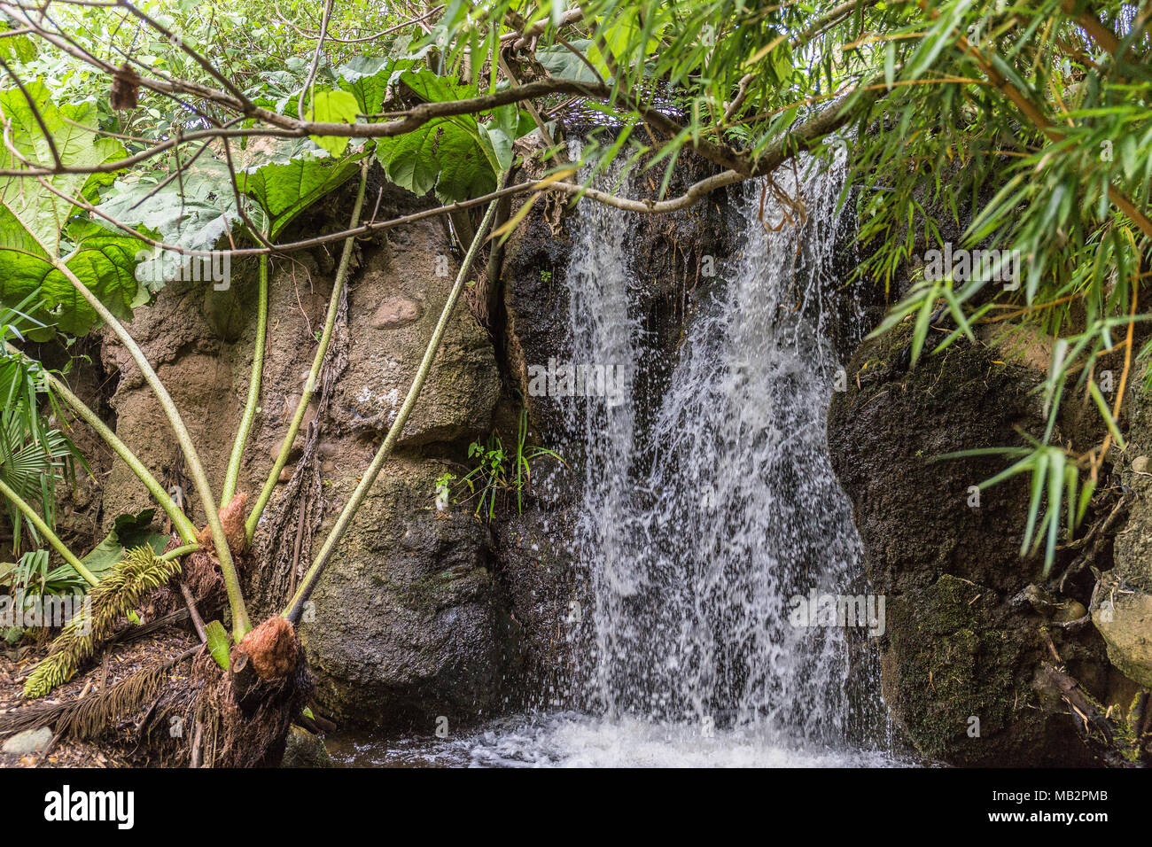 Day Out At Dublin Zoo Stock Photo - Alamy