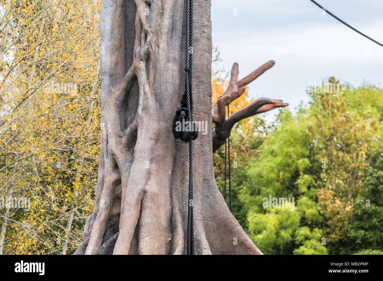 Day Out At Dublin Zoo Stock Photo - Alamy