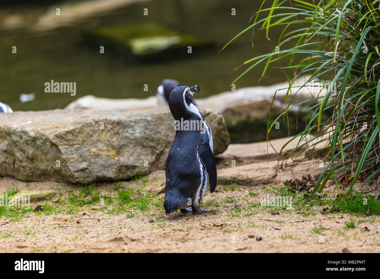 Day Out At Dublin Zoo Stock Photo - Alamy