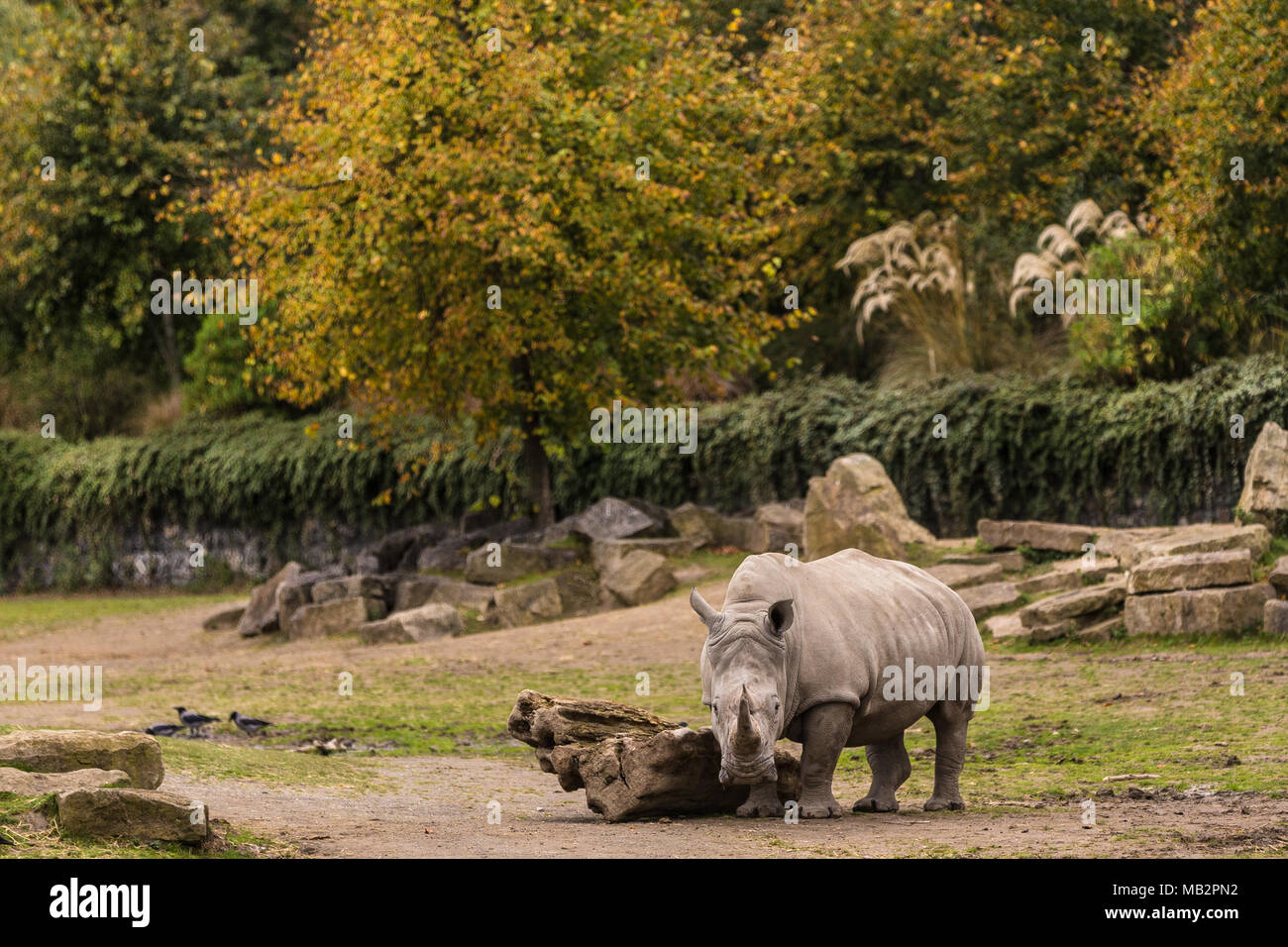 Day Out At Dublin Zoo Stock Photo - Alamy