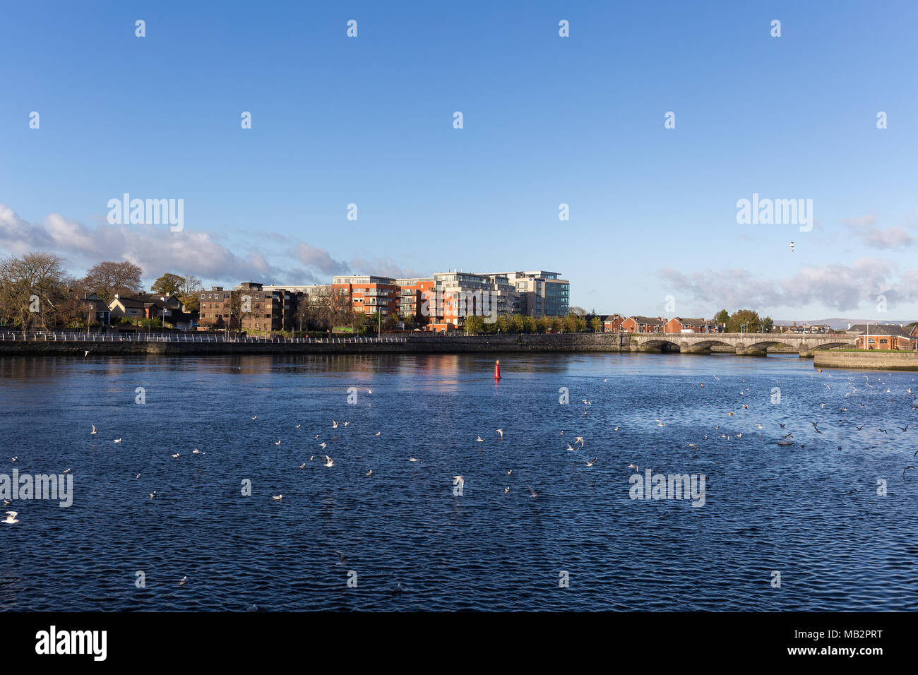 Limerick By The Shannon Stock Photo - Alamy