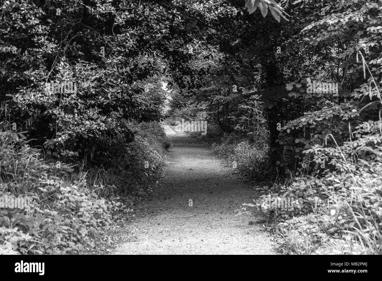Glenstal Abbey Murroe Co Limerick Stock Photo - Alamy