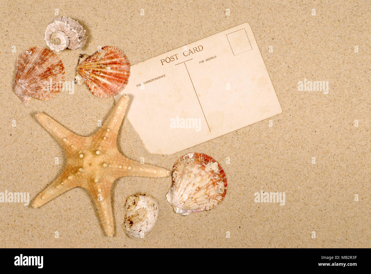Seashore background with postcards seashells and starfish Stock Photo ...