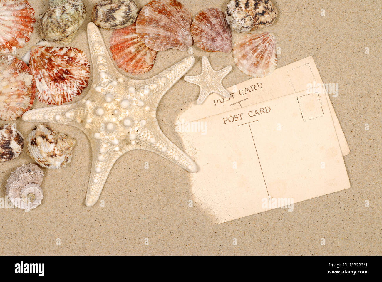 Seashore background with postcards seashells and starfish Stock Photo ...