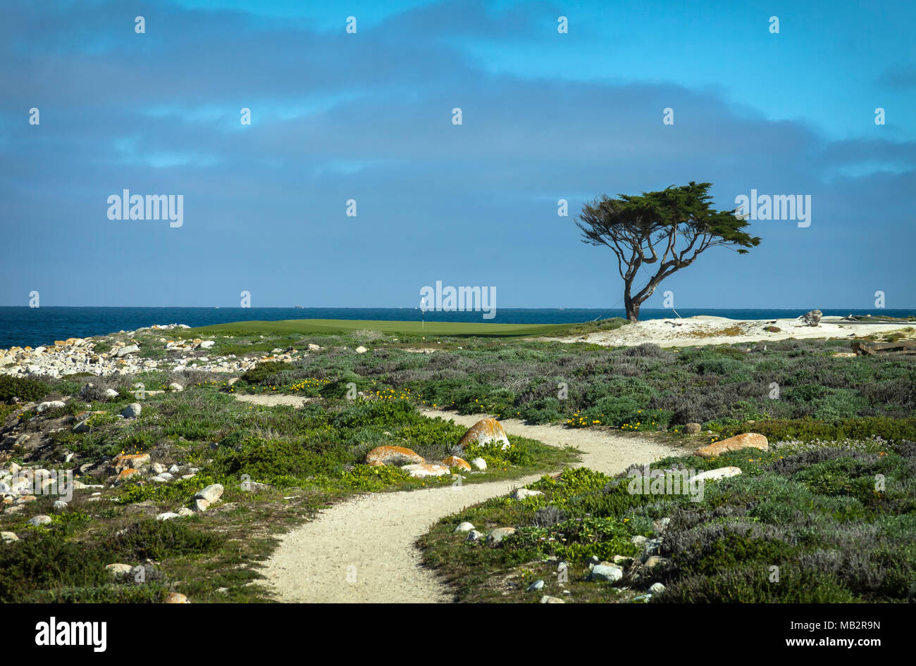 Lonely cypress hi-res stock photography and images - Alamy