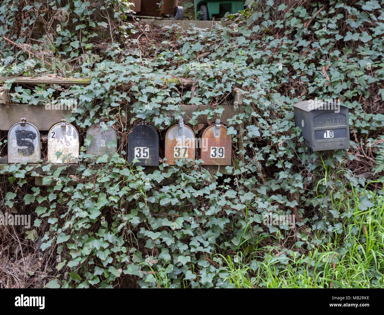 Overgrown mailboxes hi-res stock photography and images - Alamy