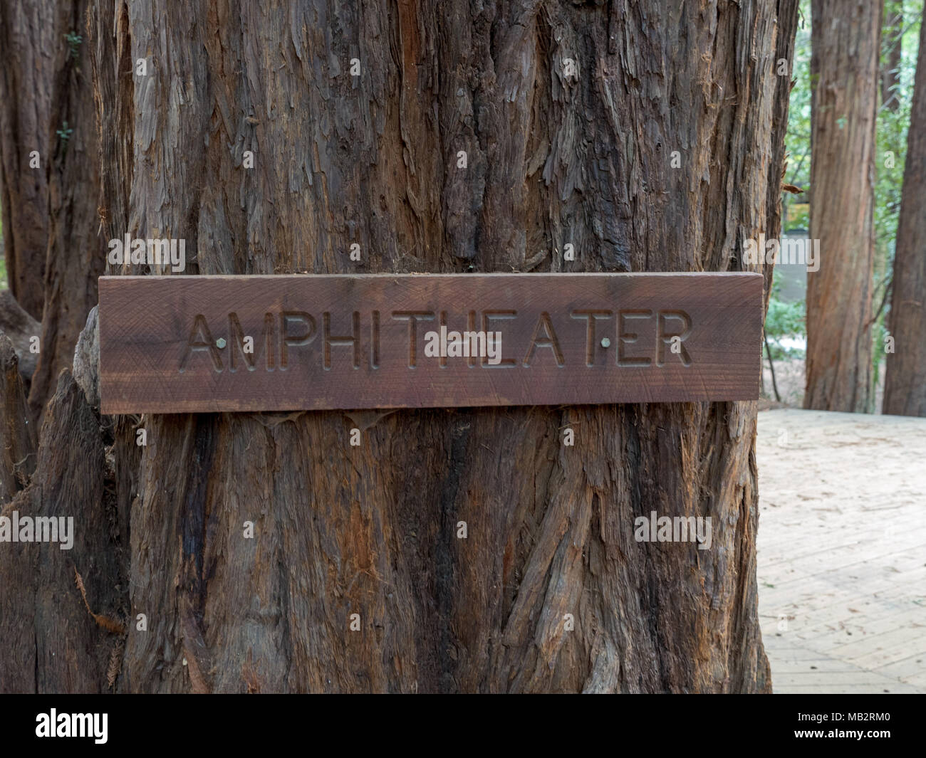 Wooden amphitheater sign in woods Stock Photo - Alamy