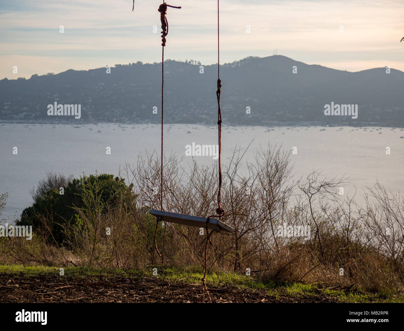Basic swing overlooking nature and water Stock Photo - Alamy