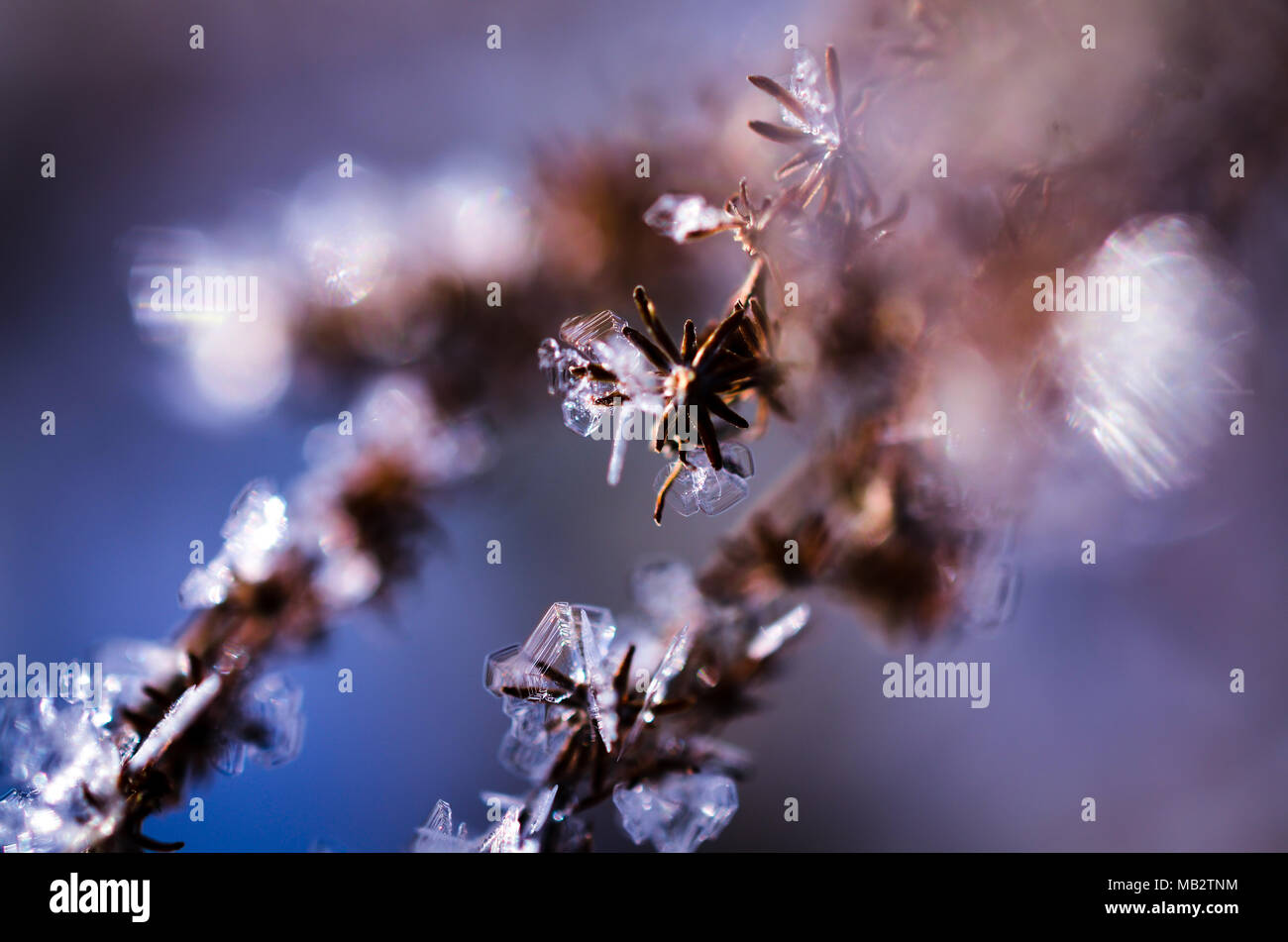 Crystals growing in nature hi-res stock photography and images - Alamy