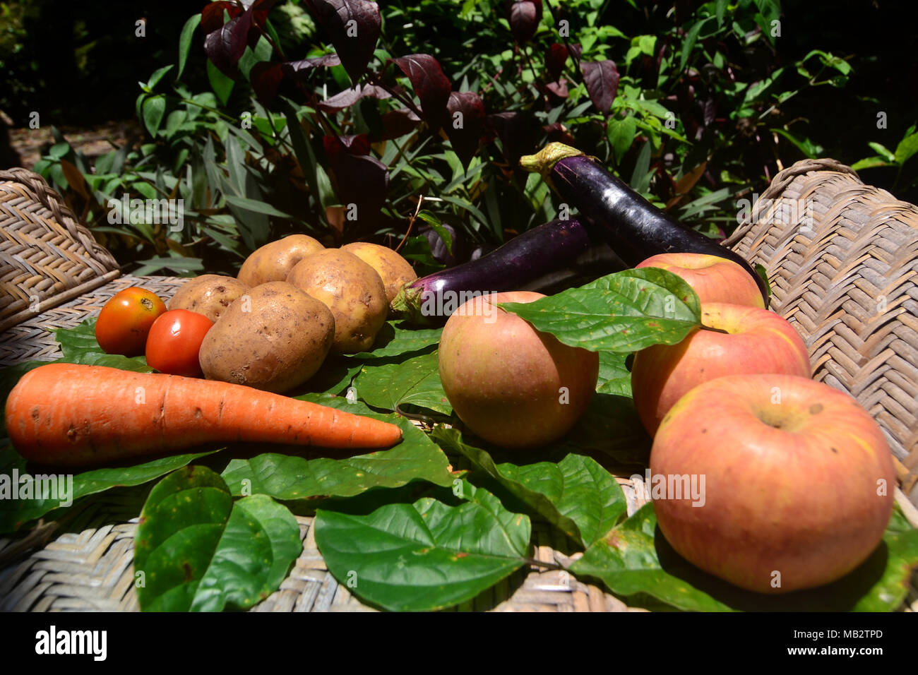 Land dayak hi-res stock photography and images - Alamy