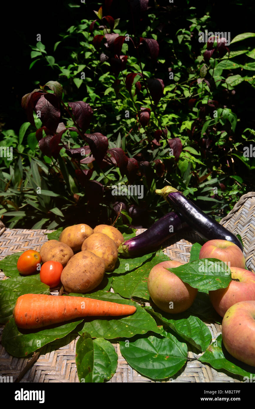 Land dayak hi-res stock photography and images - Alamy