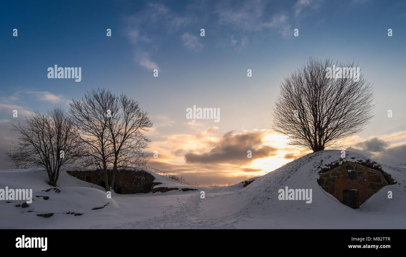 Scenic landscape with tree silhouette and sunset at evening in ...
