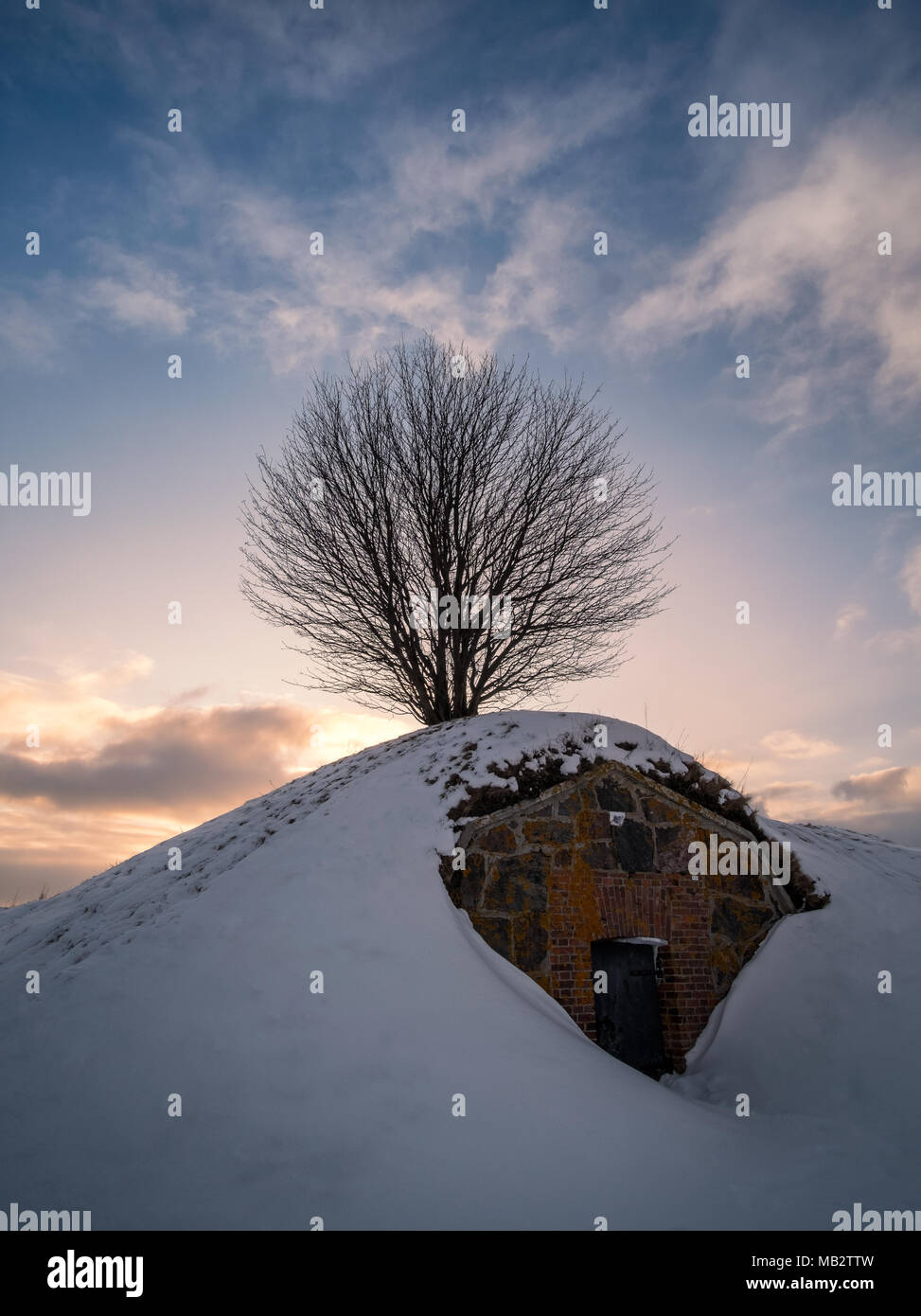 Scenic landscape with tree silhouette and sunset at evening in ...