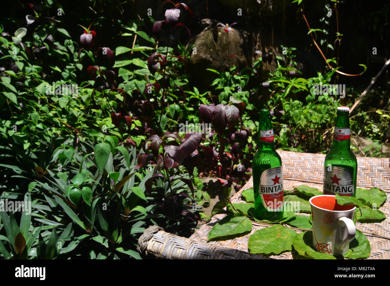 Land dayak hi-res stock photography and images - Alamy