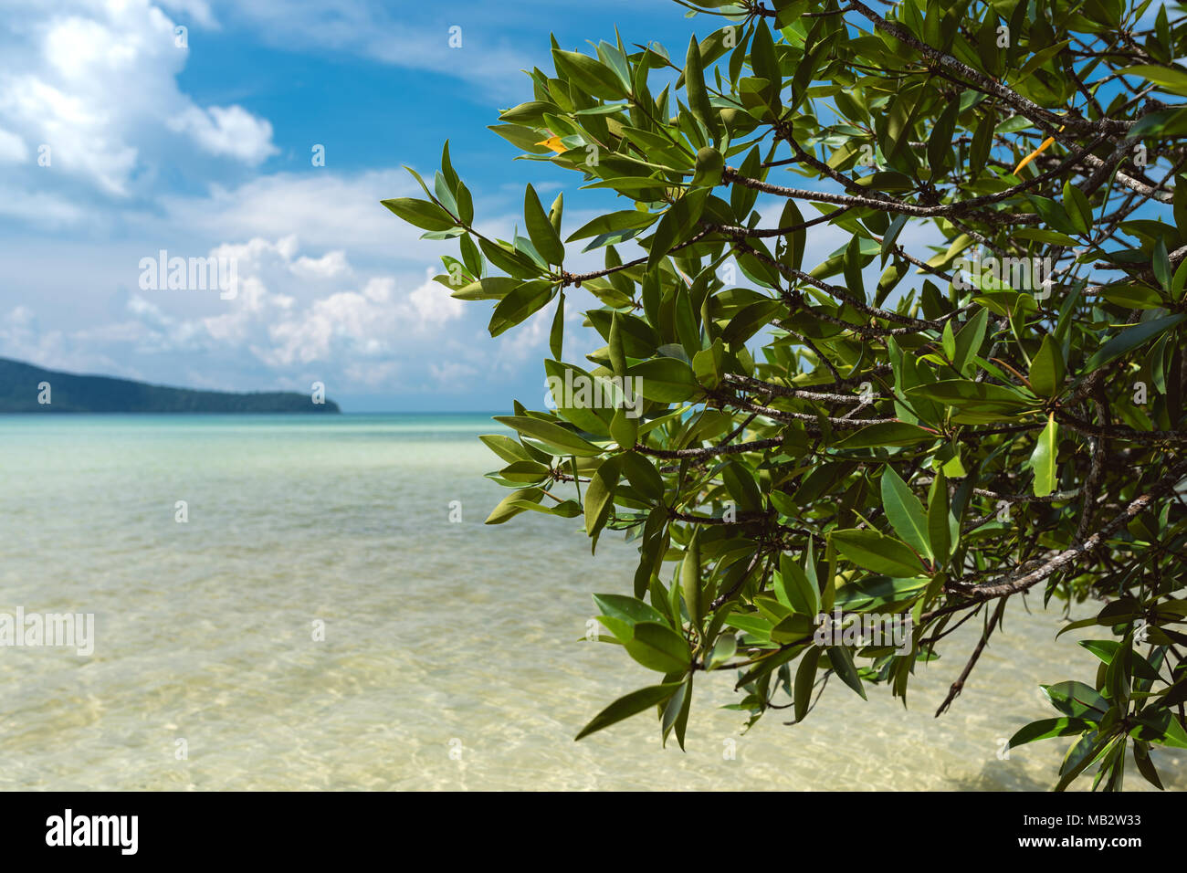 Tropical landscape of Koh Rong Samloem island with clear turquoise ...