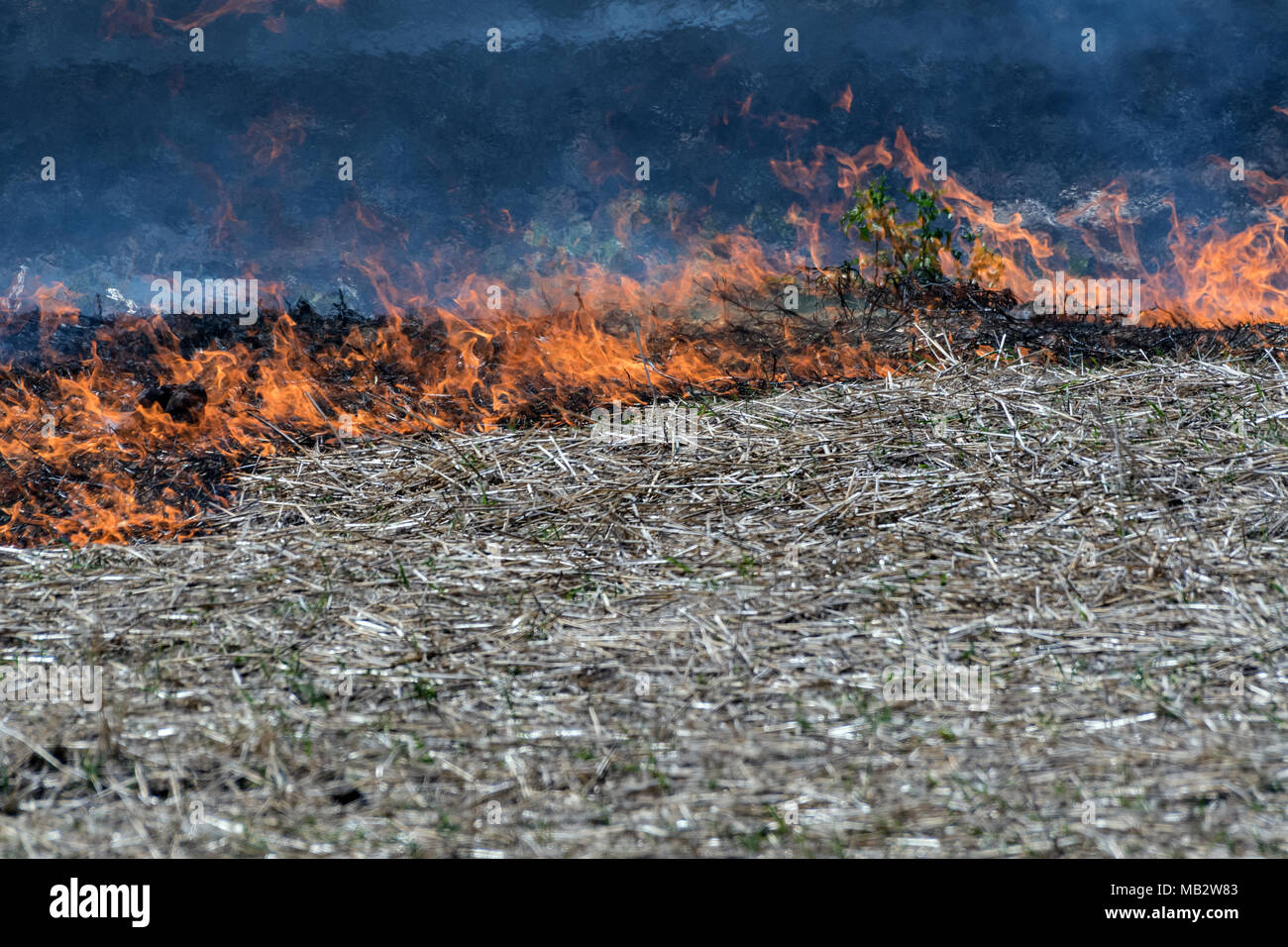 burning country, Ethiopia Stock Photo - Alamy