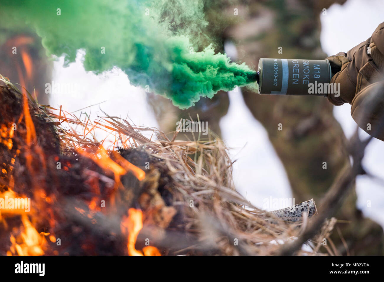 A 91st Missile Security Forces Squadron defender holds a M18 smoke ...