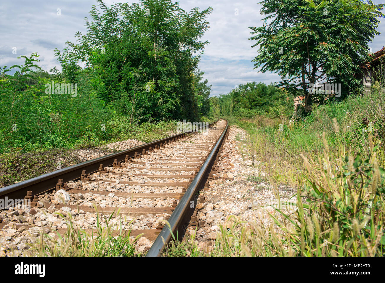 Perspective View Of The Paths Of Old Railroad In The Green Forest On ...
