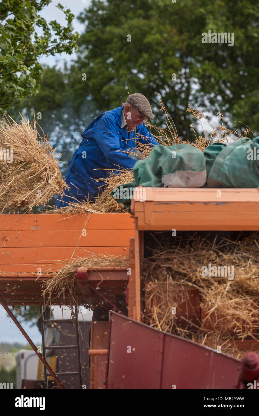 Threshing fork hi-res stock photography and images - Alamy