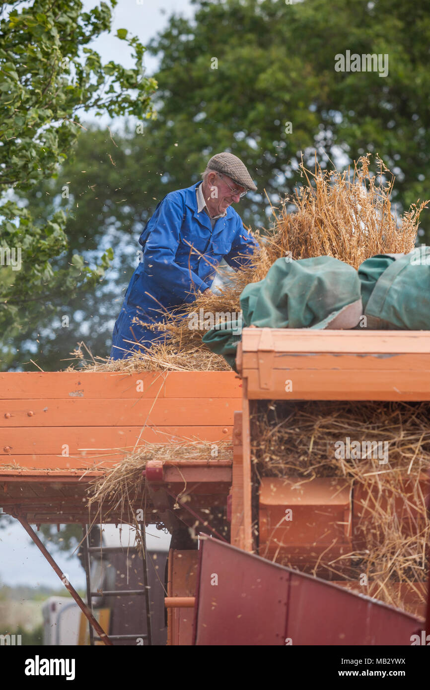 Threshing fork hi-res stock photography and images - Alamy