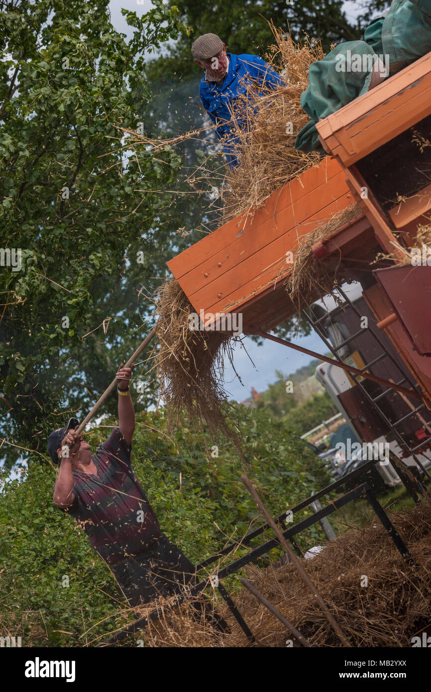 Threshing fork hi-res stock photography and images - Alamy
