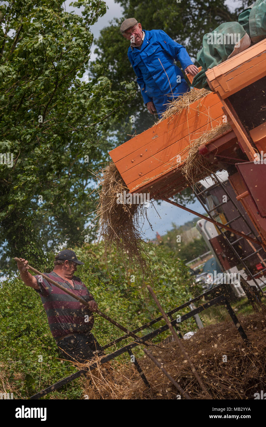 Threshing fork hi-res stock photography and images - Alamy