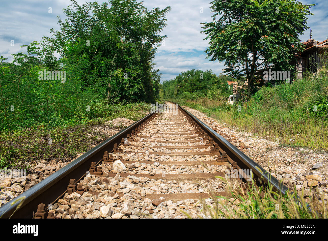 Perspective View Of The Paths Of Old Railroad In The Green Forest On ...