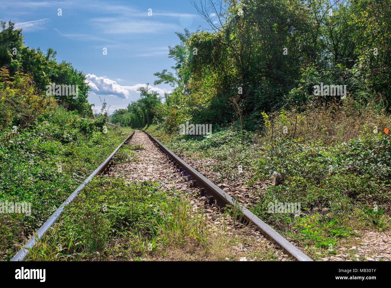 Perspective View Of The Paths Of Old Railroad In The Green Forest On ...