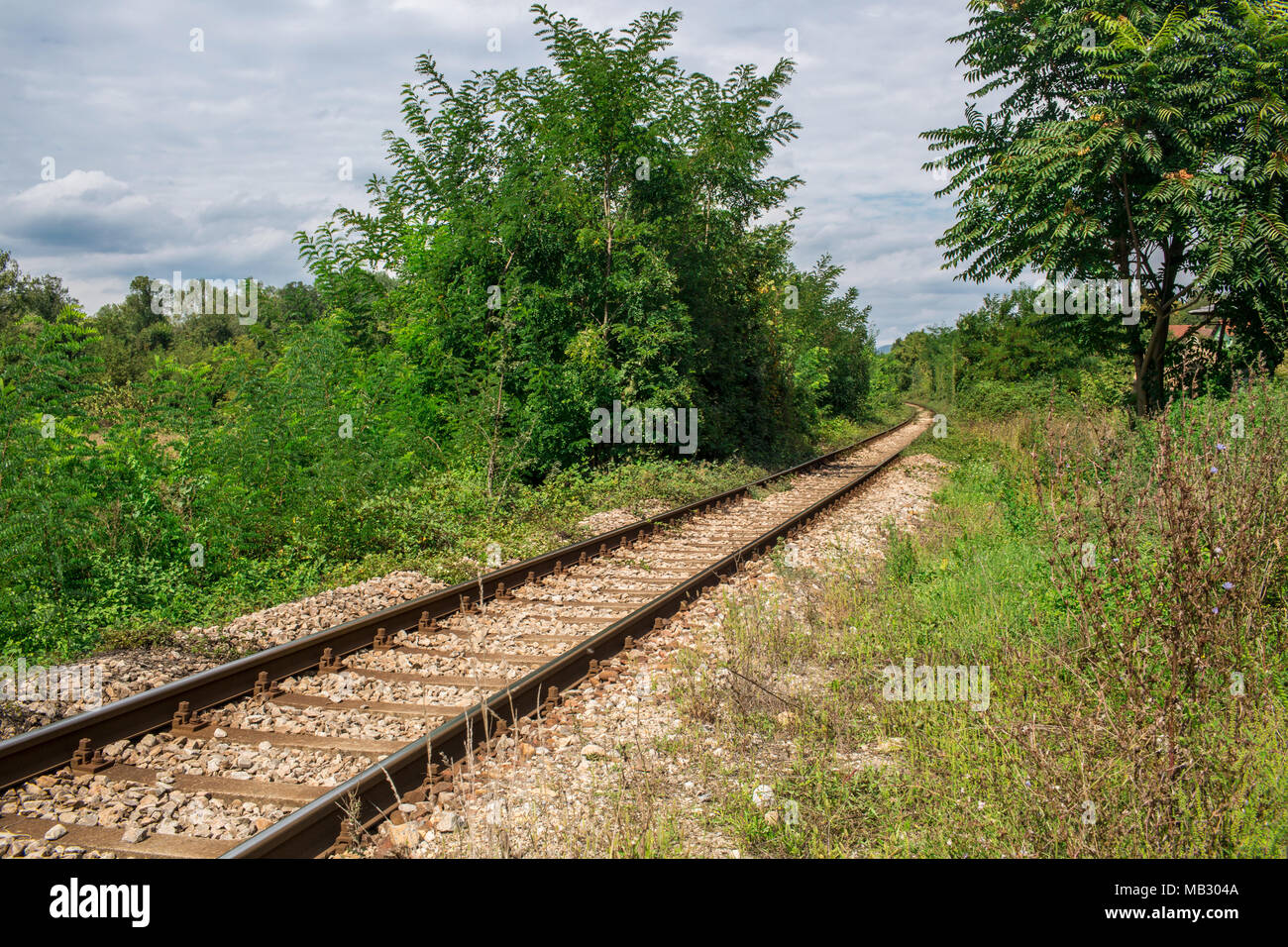 Perspective View Of The Paths Of Old Railroad In The Green Forest On ...