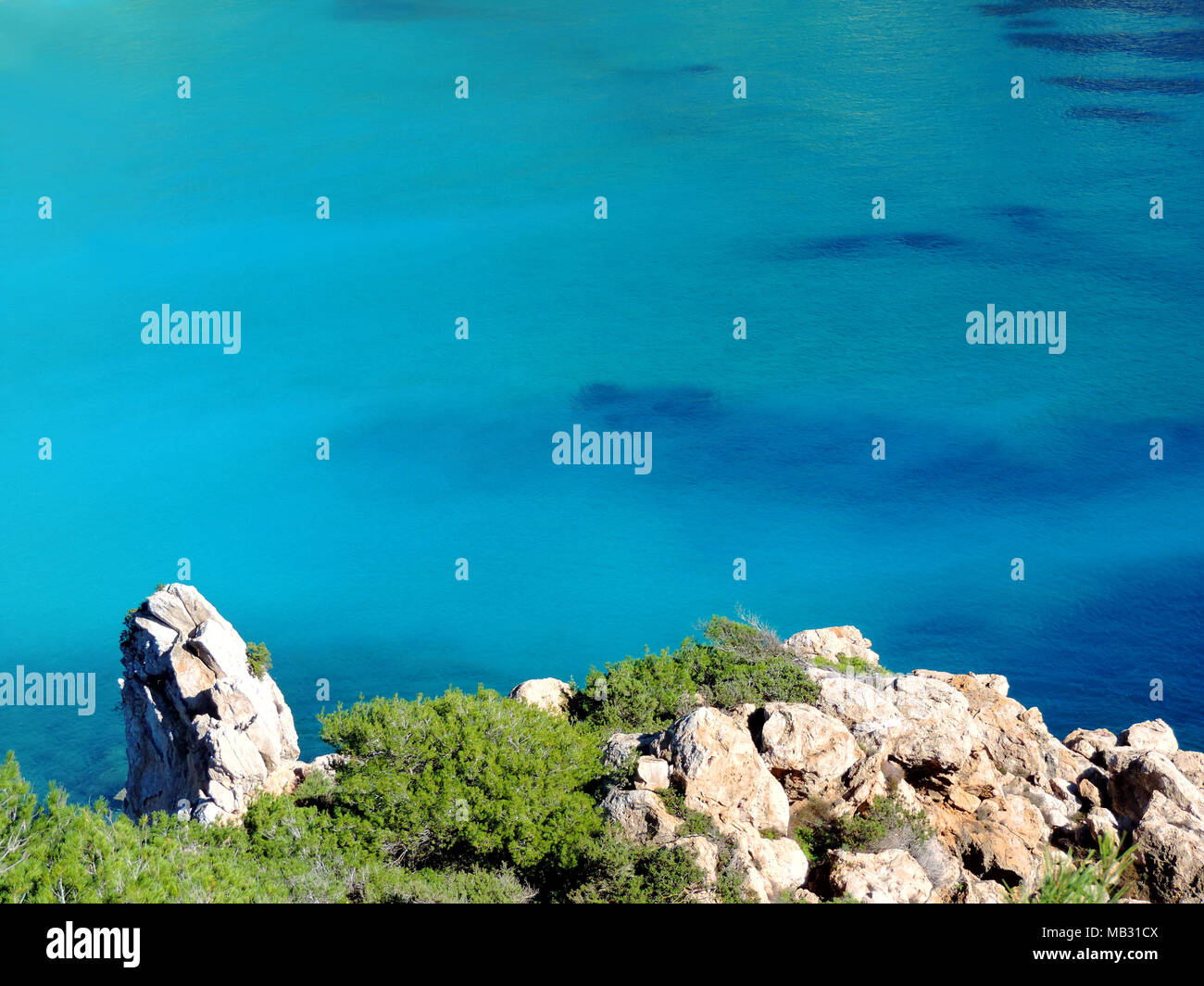 Pine trees ibiza hi-res stock photography and images - Alamy