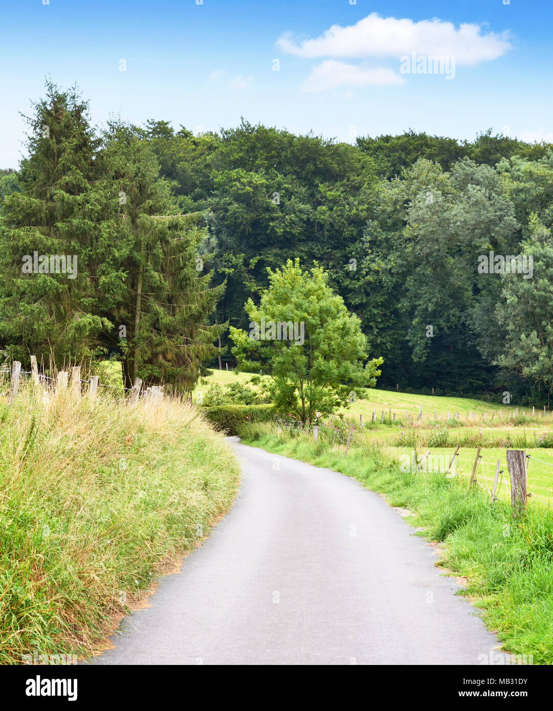 Idyllic country road with green fields and blue sky. Countryside with ...