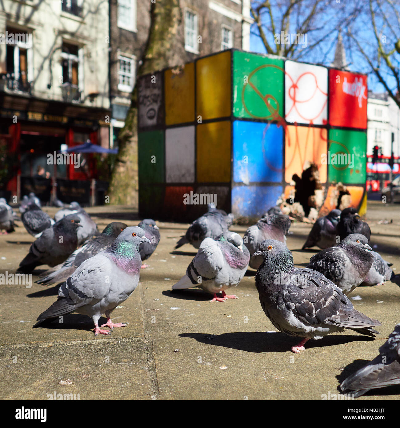 Pigeons in the nest hi-res stock photography and images - Alamy