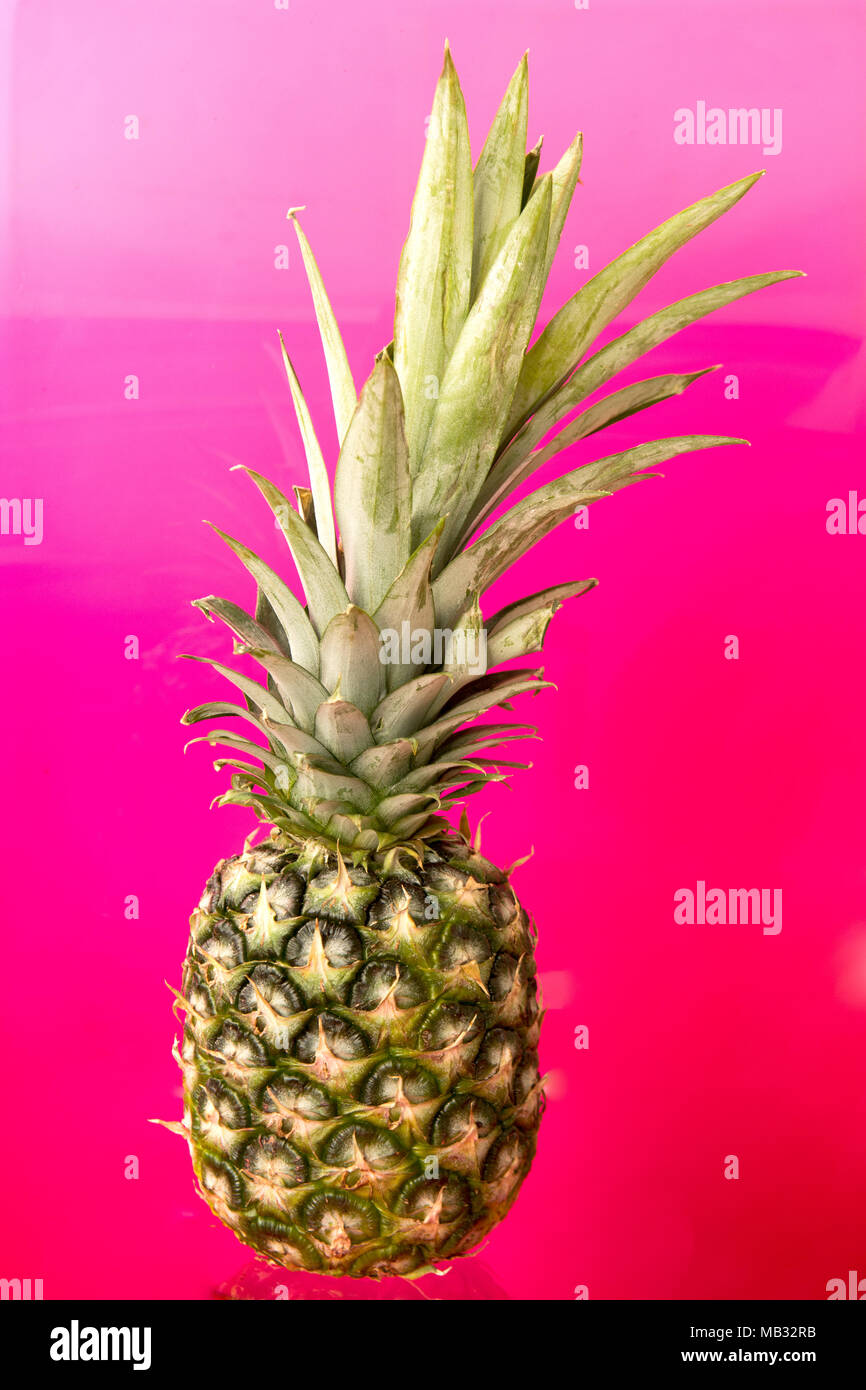 Pineapple isolated on bright neon pink background Stock Photo - Alamy
