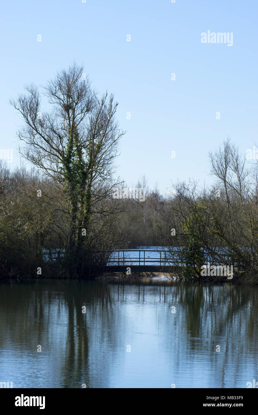 Bridge over tree hi-res stock photography and images - Alamy