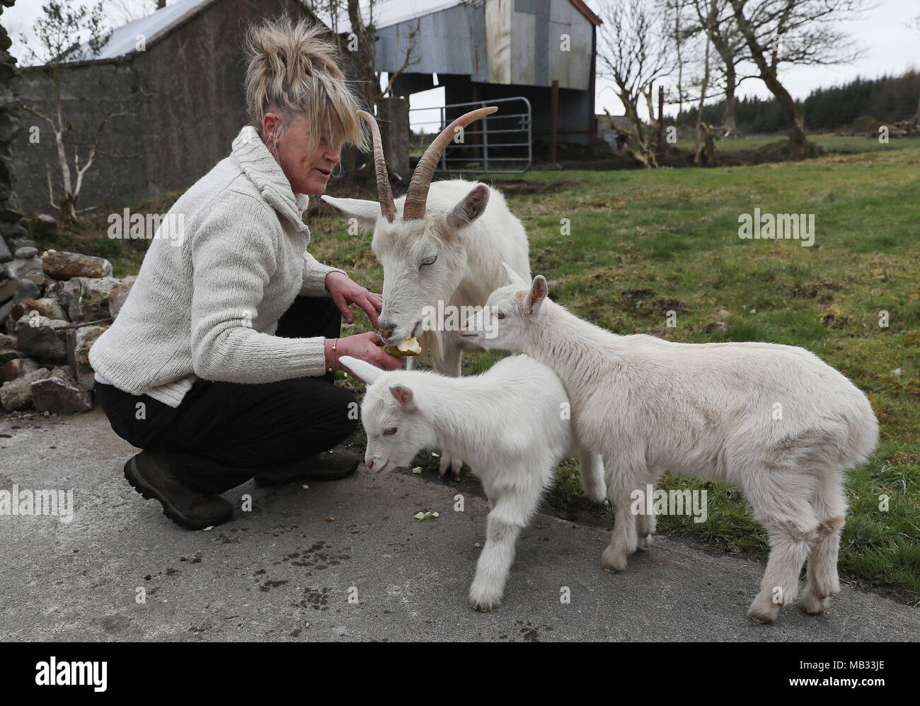 Angela Bermingham on her farm in Murneen, Co. Mayo, with her goat ...
