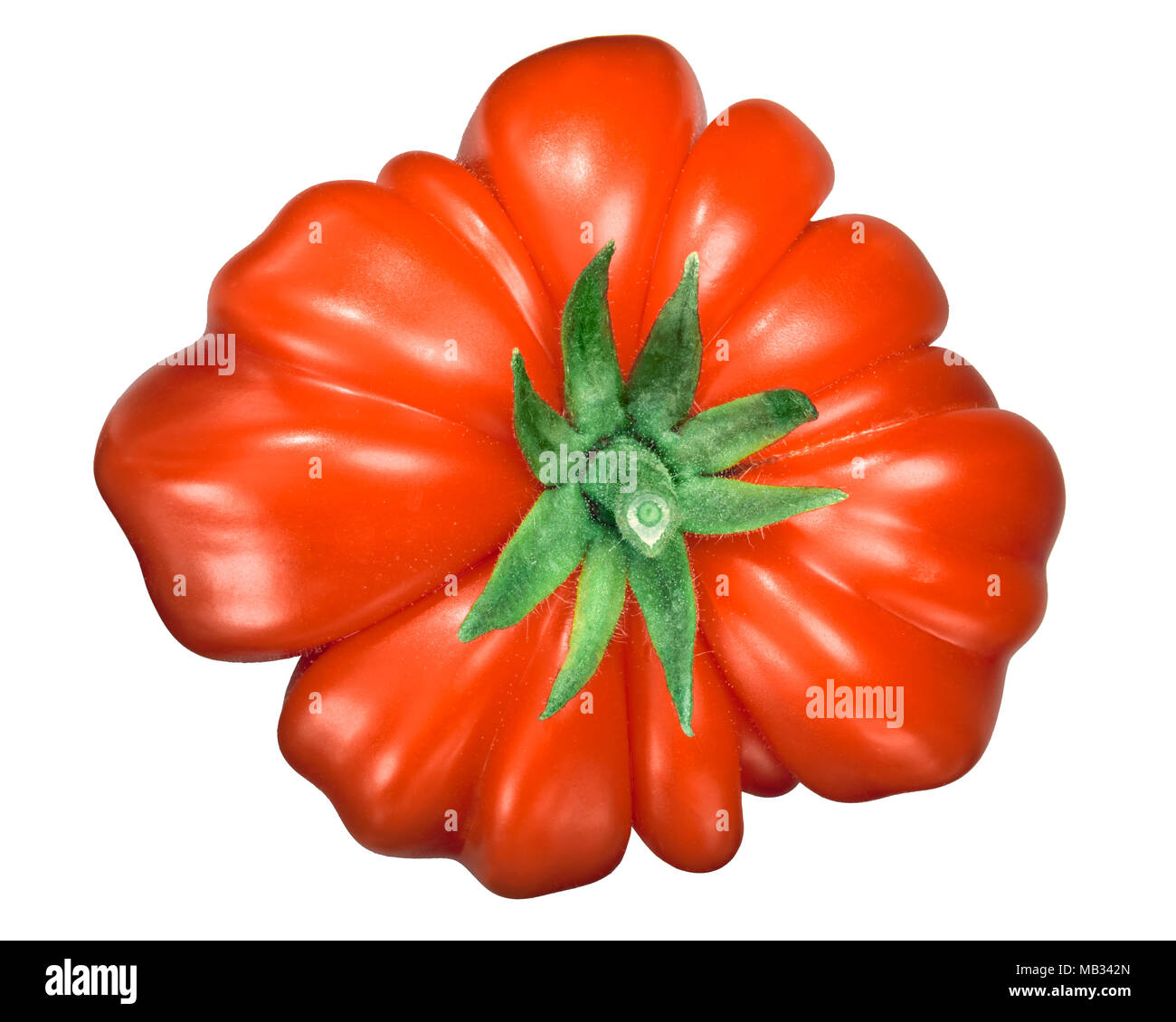 Ribbed heirloom tomato Costoluto di Parma, top view, calyx up Stock ...