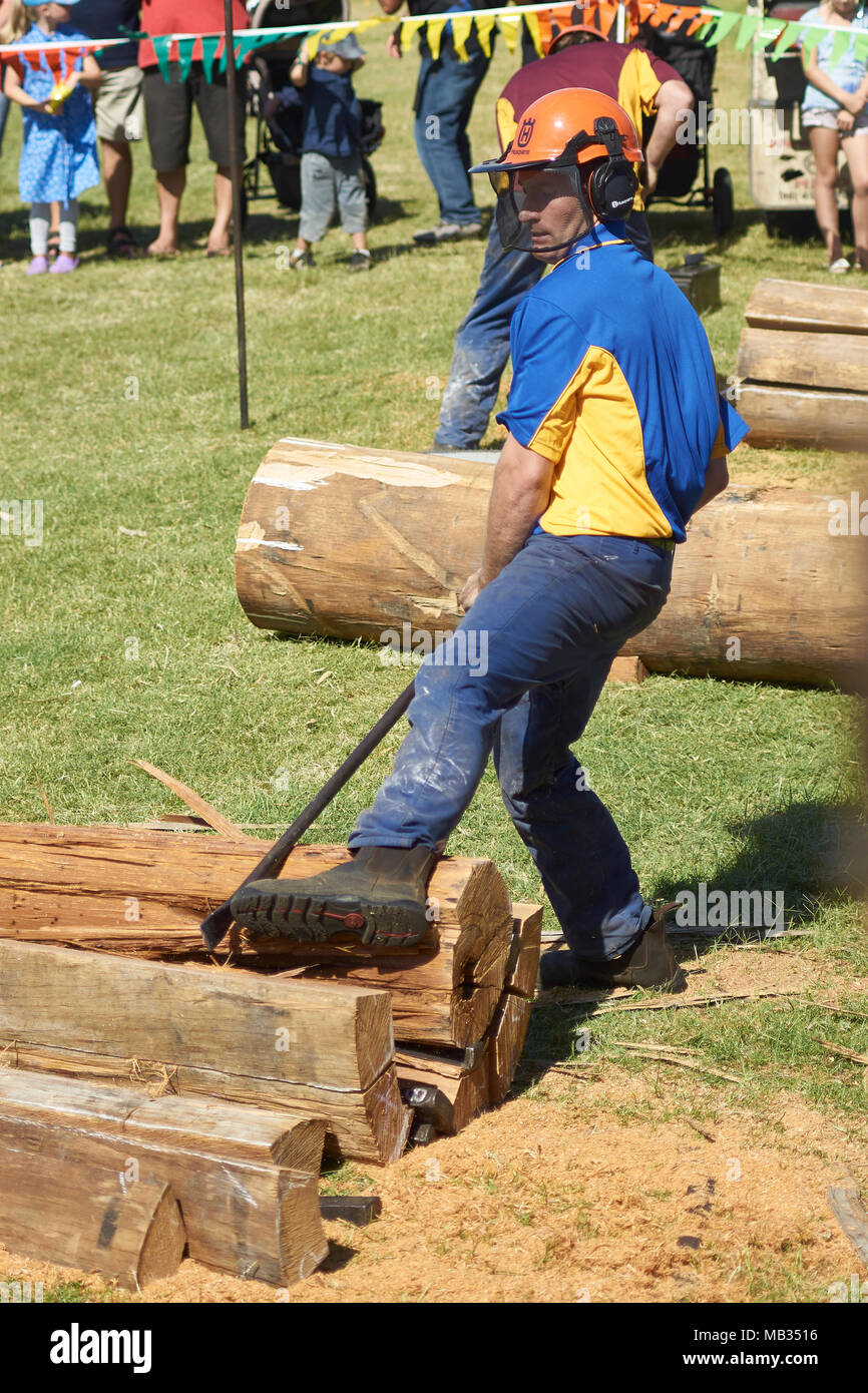 fence post splitting competition at the newcastle show nsw Stock Photo ...