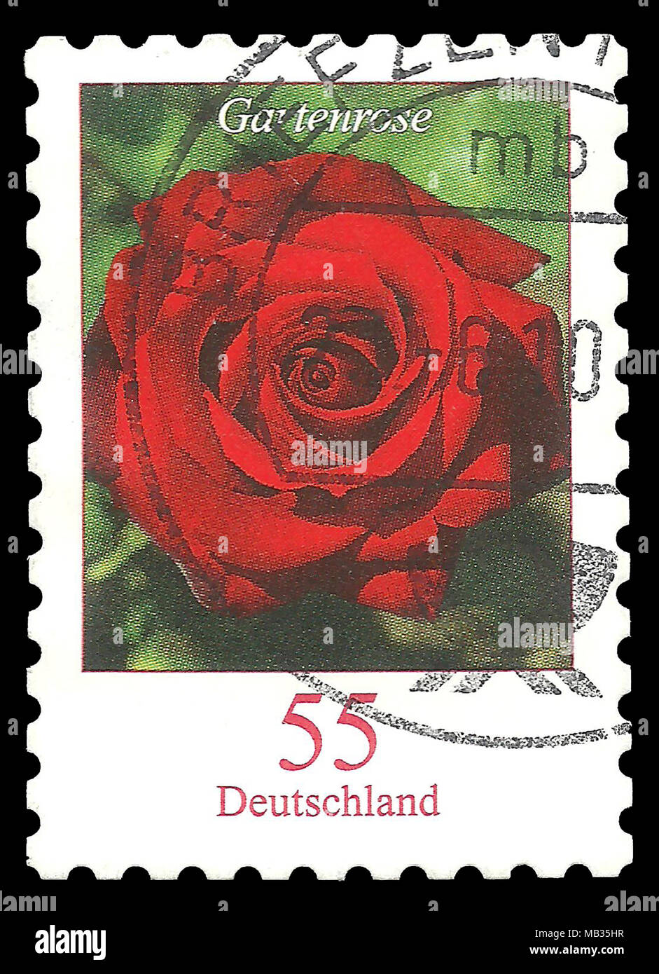 Germany - stamp 2008: Color edition on Flora, shows Flowers Gartenrose ...