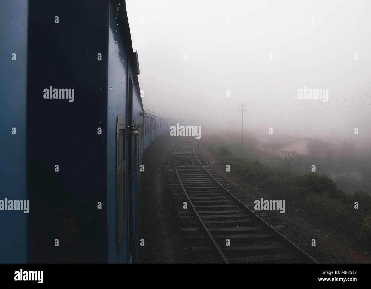 Fog train hi-res stock photography and images - Alamy